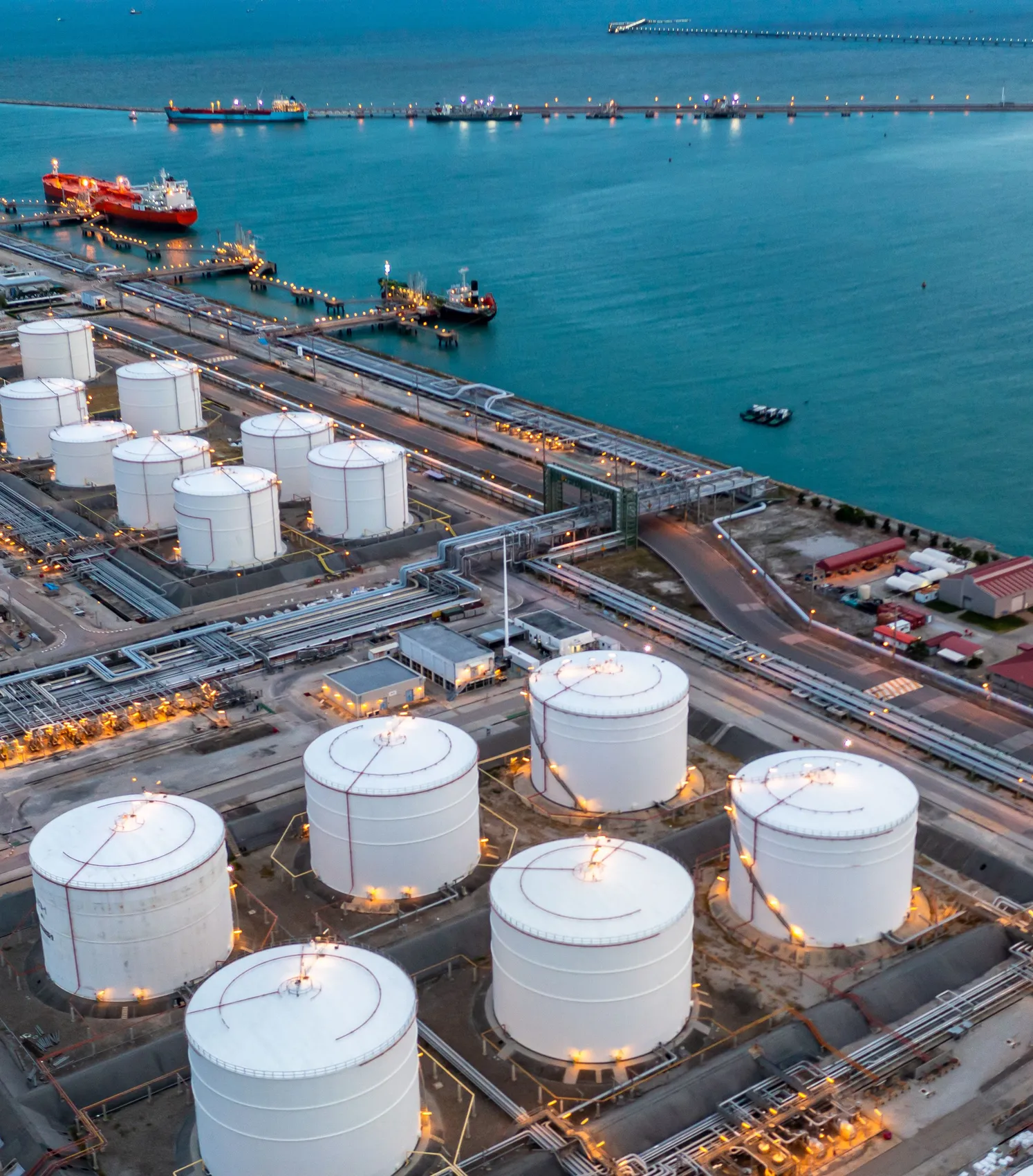 Carbonex - Carbon insetting – accelerating marine biofuels growth